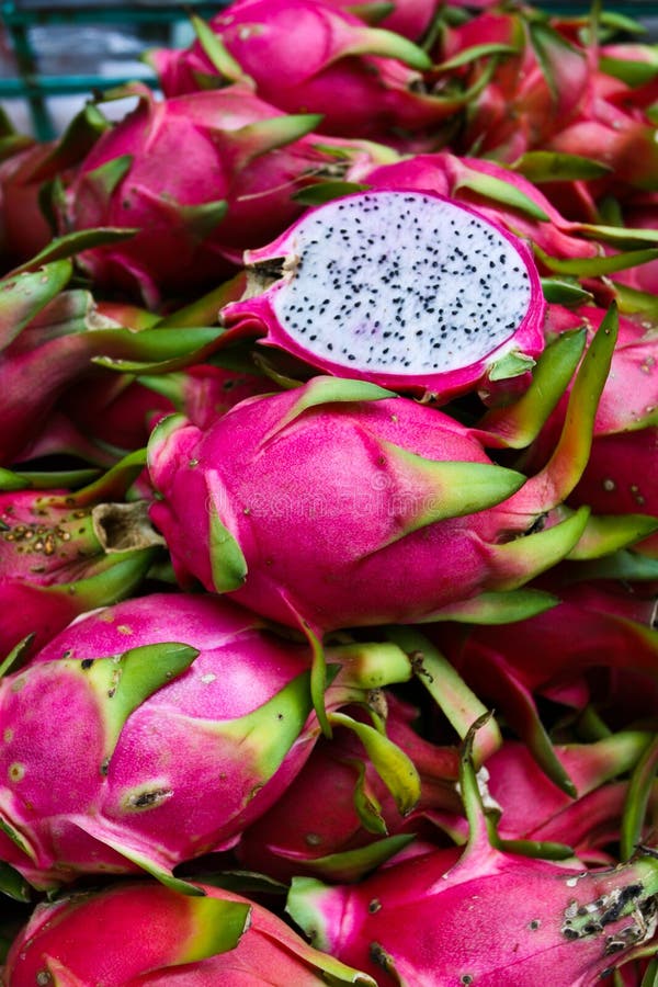Cocoa bean pods stock photo. Image of grenada, golden - 24999874