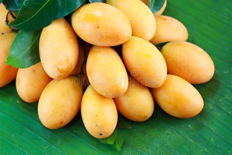 Exotic Thai Fruit. Maprang, Marian Plum, Gandaria, Stock Image - Image of sliced, asian: 23880787