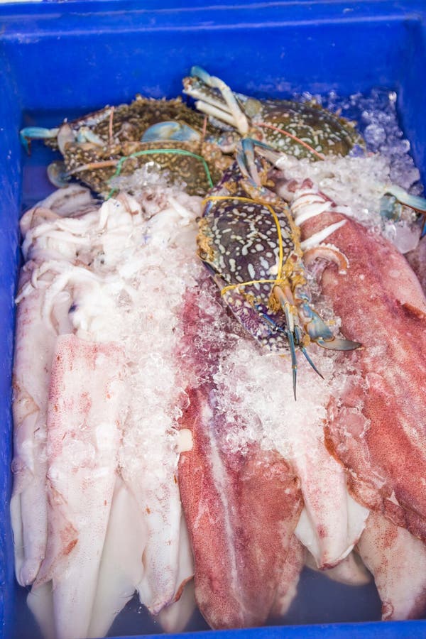 Exotic Thai seafood stock photo. Image of water, fish - 51631272