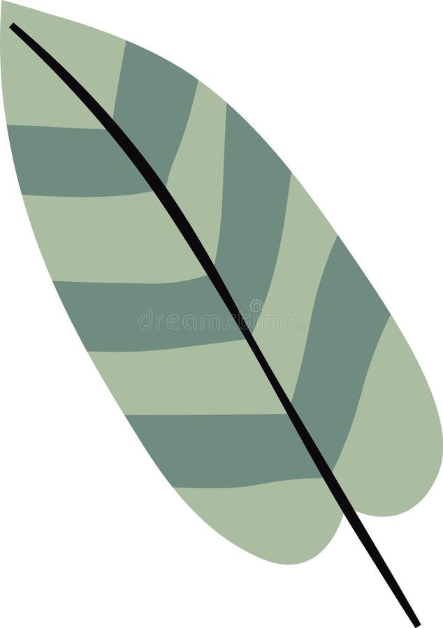 Exotic Tree Leaf stock vector. Illustration of decoration - 353252378