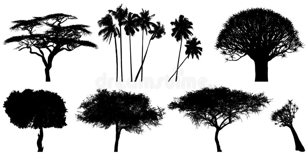 Yew Trees Stock Illustrations – 289 Yew Trees Stock Illustrations ...