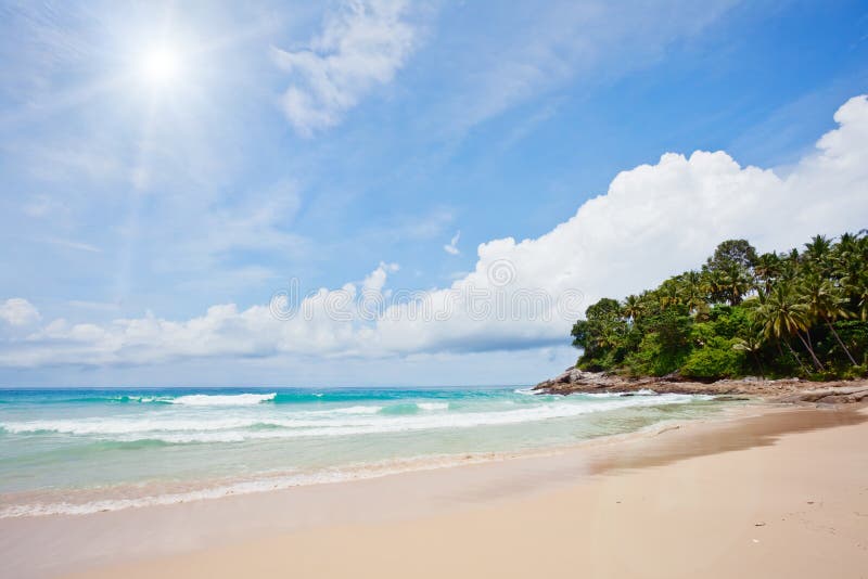 Exotic tropical beach. stock photo. Image of seascape - 20307346