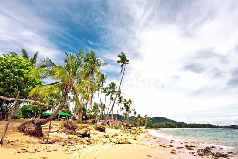 Exotic tropical beach. stock image. Image of dream, sand - 20449991
