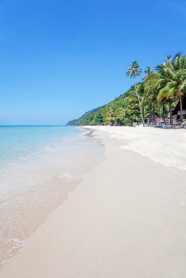 Exotic tropical beach. stock image. Image of beach, stone - 25382193
