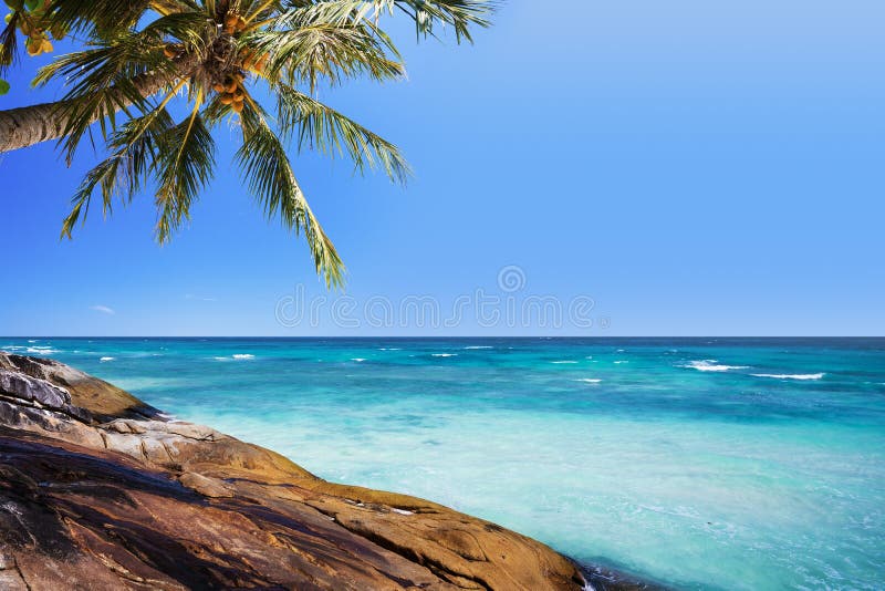 Exotic tropical beach stock photo. Image of beach, paradise - 37785742