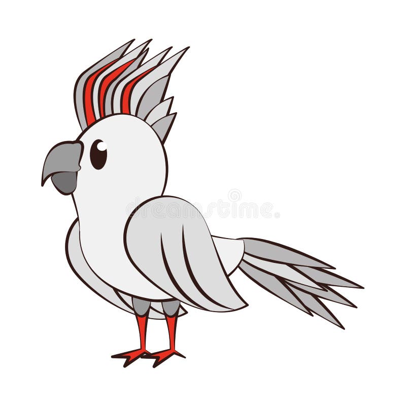 Exotic Tropical Bird Cartoon Isolated Stock Vector - Illustration of ...