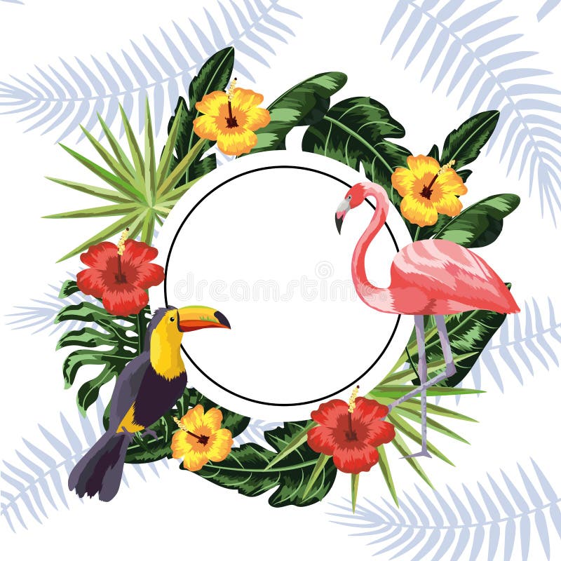 Birds frame stock vector. Illustration of graphic, background - 19691687