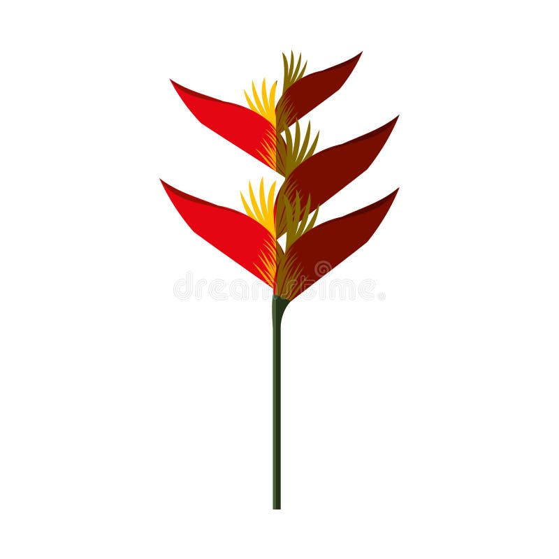 Exotic and Tropical Flower Icon Stock Vector - Illustration of ...