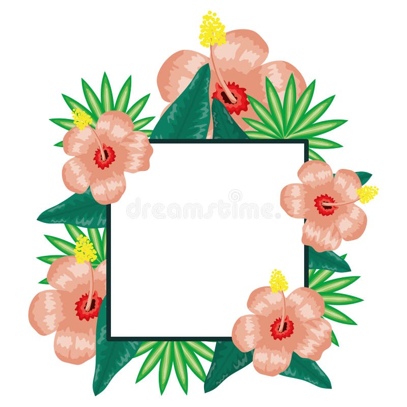 Exotic and Tropical Flower with Leafs Square Frame Stock Vector ...
