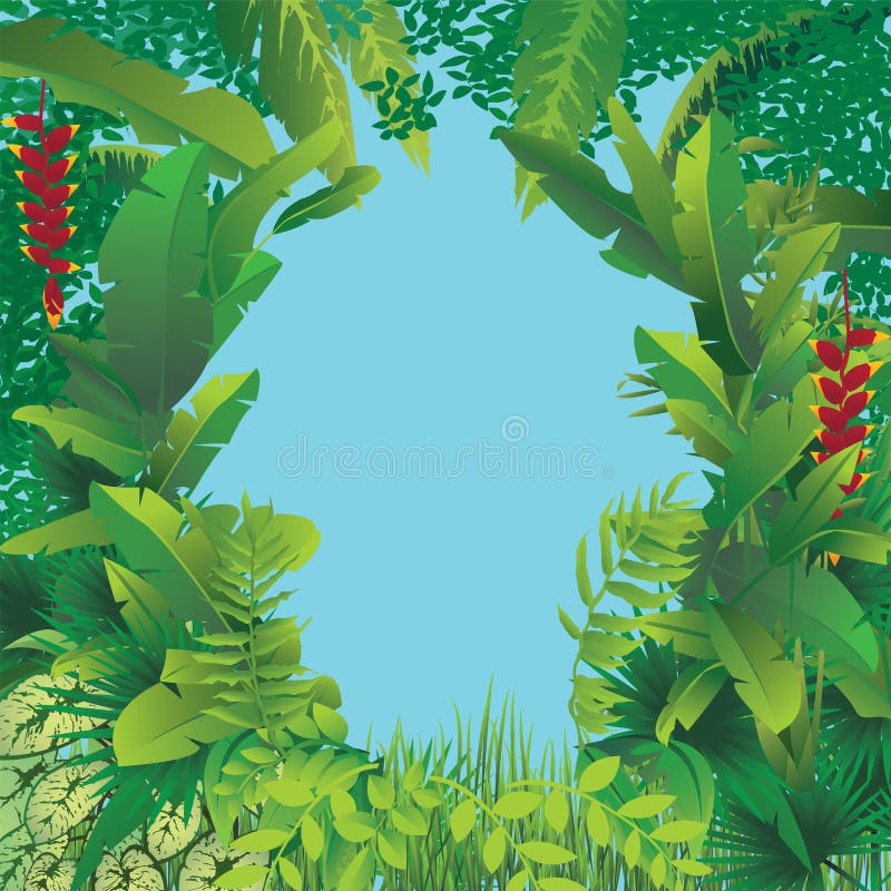 Exotic tropical forest stock vector. Illustration of nature - 32245351