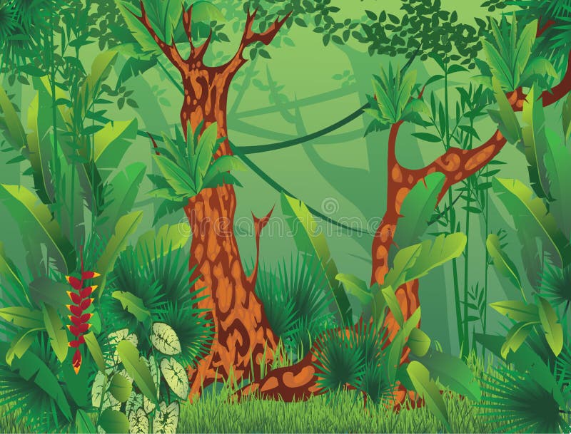 Exotic tropical forest stock vector. Illustration of outdoor - 36495304
