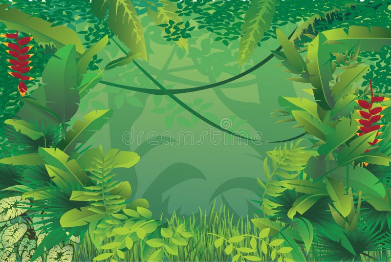Exotic tropical forest stock vector. Illustration of green - 36495444