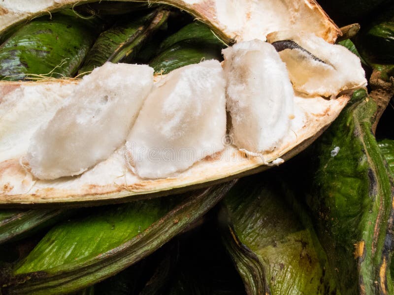 Exotic Tropical Fruit Called Guama Stock Photo - Image of ripe ...