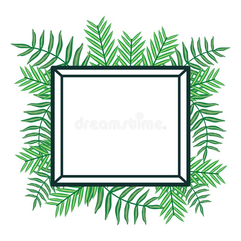 Exotic and Tropical Leafs Plants Square Frame Stock Vector ...