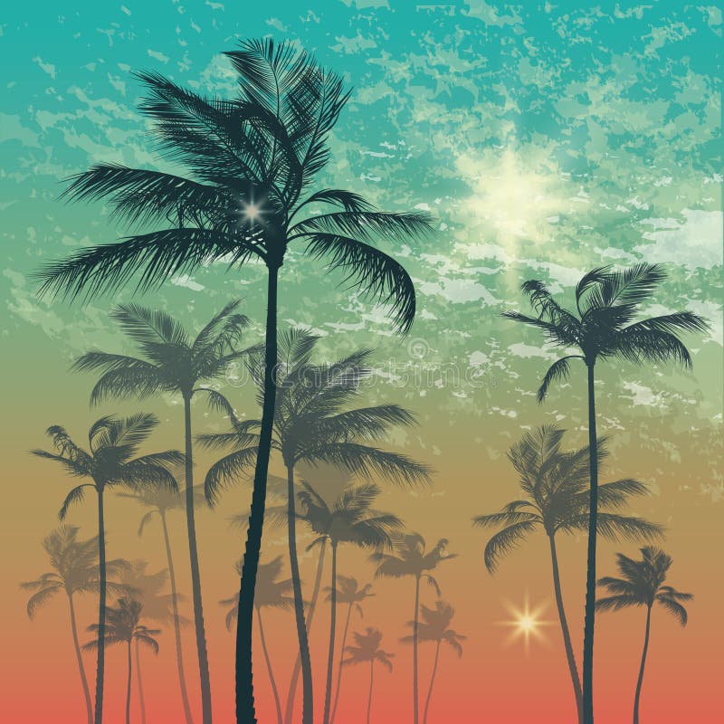 Exotic Tropical Palm Trees at Sunset or Sunrise. Vector Illustration ...