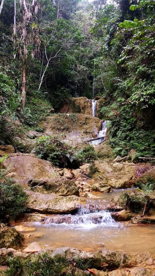 Timpe Stock Photos - Free & Royalty-Free Stock Photos from Dreamstime