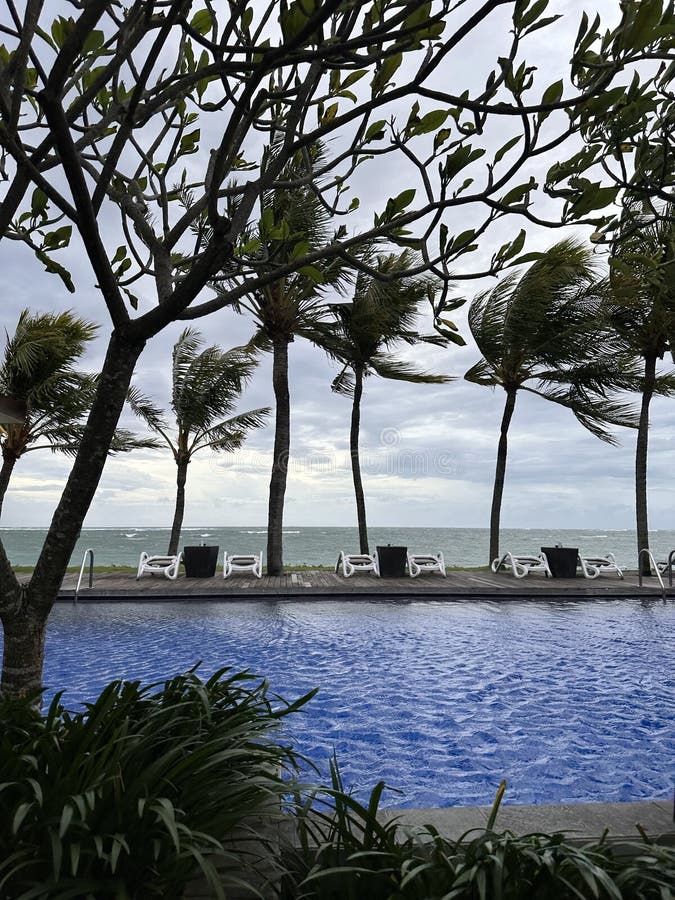 Exotic View from Tropical Resort Bali Stock Image - Image of tropical ...