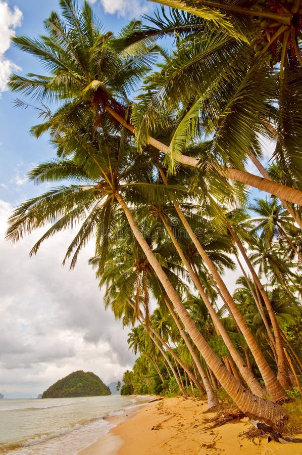 Exotic Wild Beach Scenery stock image. Image of mountain - 10364983