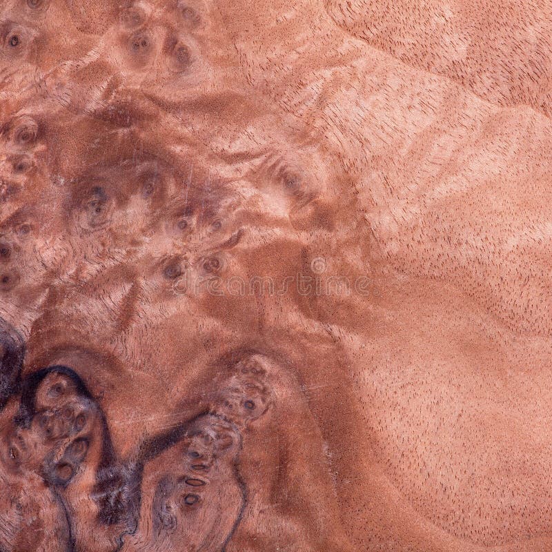 Exotic wood texture stock photo. Image of curly, floor - 88855432