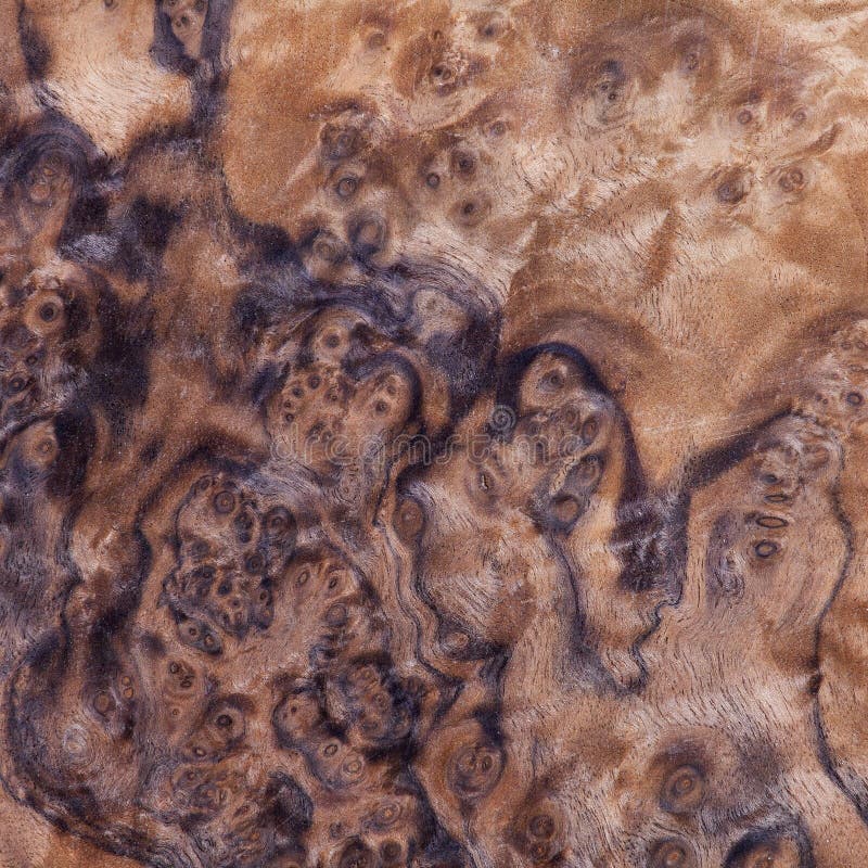 Exotic wood texture stock photo. Image of curly, floor - 88855432