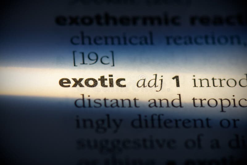 Exotic stock image. Image of english, highlight, thesaurus - 161578995