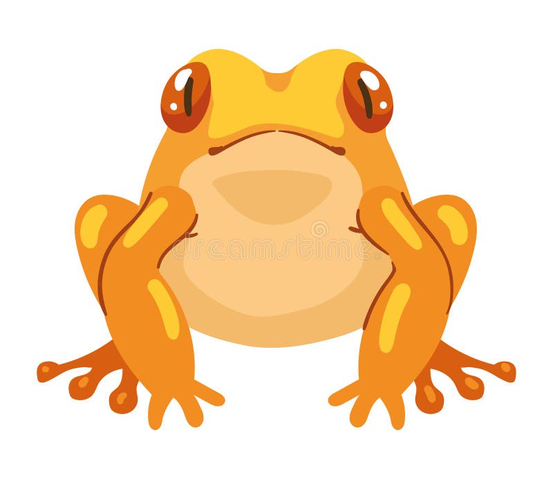 Exotic yellow frog stock vector. Illustration of character - 271122068