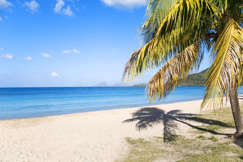 Exoticism Picture. Image: 8586649