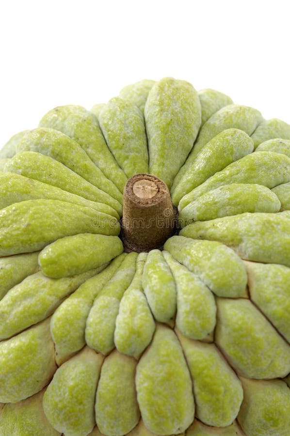 Exotisch fruit stock foto. Image of dieet, vrucht, zaden - 7460724