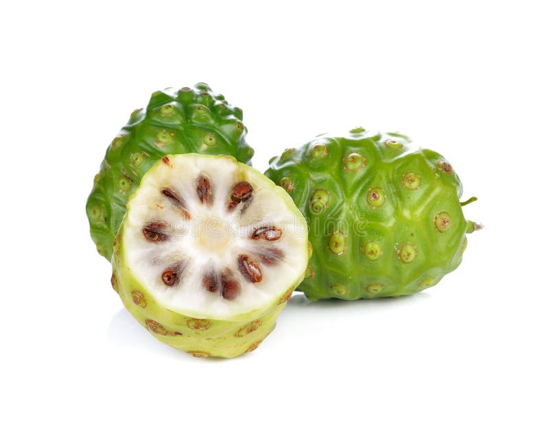 Exotisch Fruit - Noni stock foto. Image of indisch, gewas - 51814866