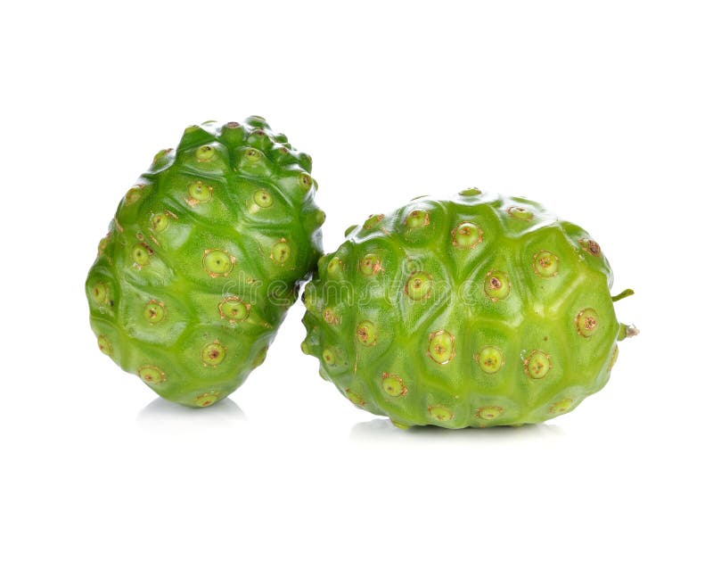 Exotisch Fruit, Noni-vruchten Stock Afbeelding - Image of exotisch ...