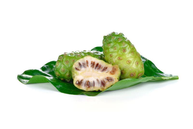Exotisch Fruit, Noni-vruchten Stock Afbeelding - Image of exotisch ...