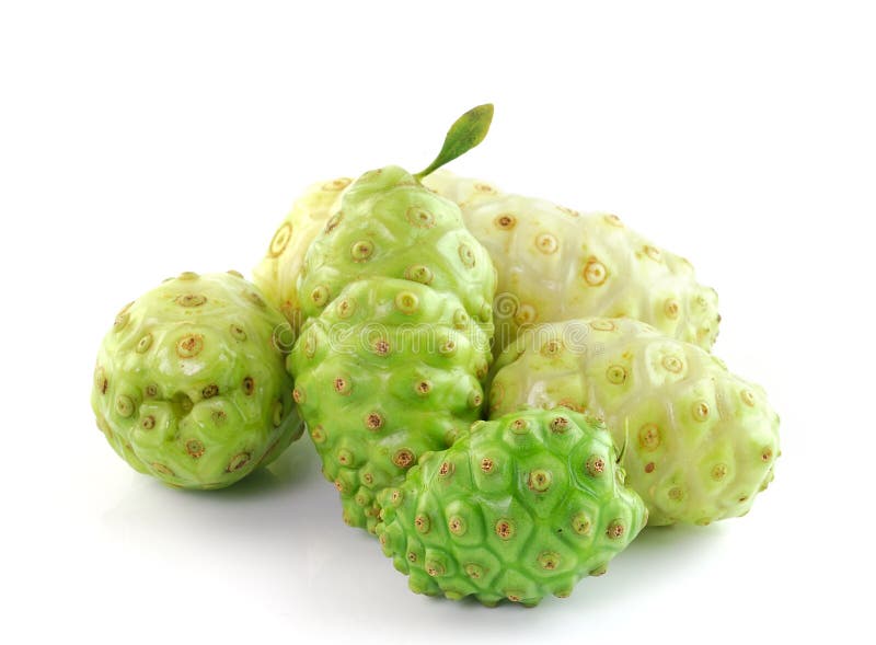 Exotisch Fruit - Noni Op Wit Stock Afbeelding - Image of installatie ...