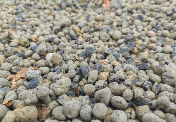 Expanded clay arlite stock image. Image of covered, gardening - 402124393