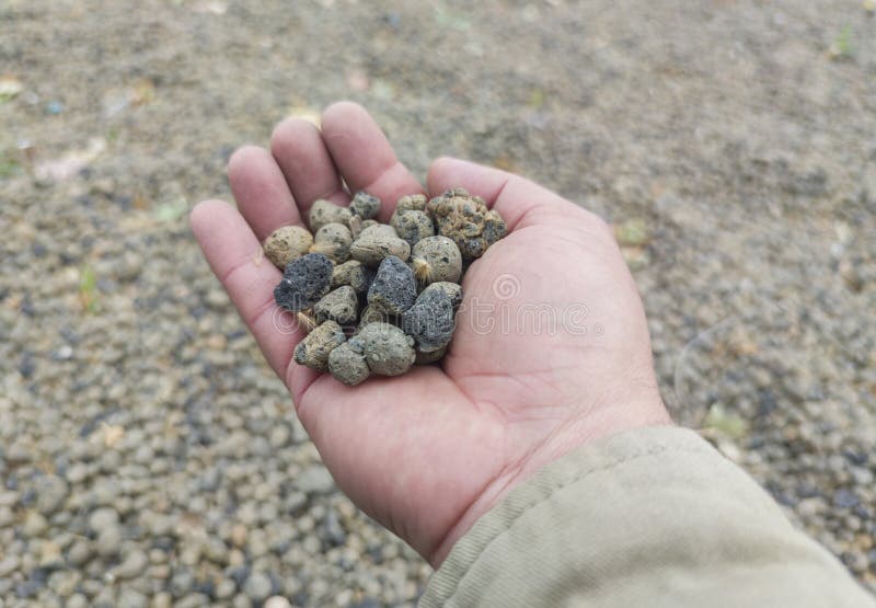 Clay Arlite Stock Photos - Free & Royalty-Free Stock Photos from Dreamstime