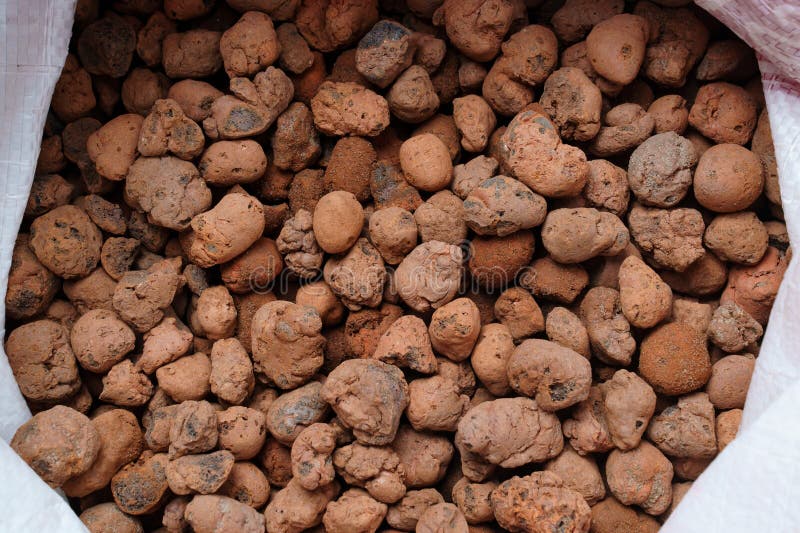 Expanded Clay. Small Lumps of Clay Used in Construction and for Growing ...