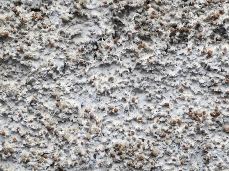 Close Up Expanded Clay Concrete Slab Surface Stock Image - Image of ...