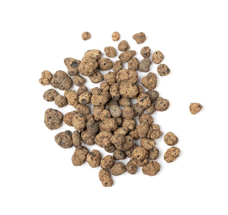 999 Expanded Clay Photos - Free & Royalty-Free Stock Photos from Dreamstime