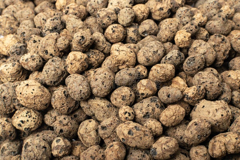 Leca Pellets Stock Photos - Free & Royalty-Free Stock Photos from ...