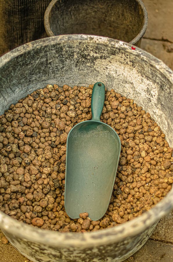 Expanded Clay Granules for Drainage of Root System Water and a Green ...