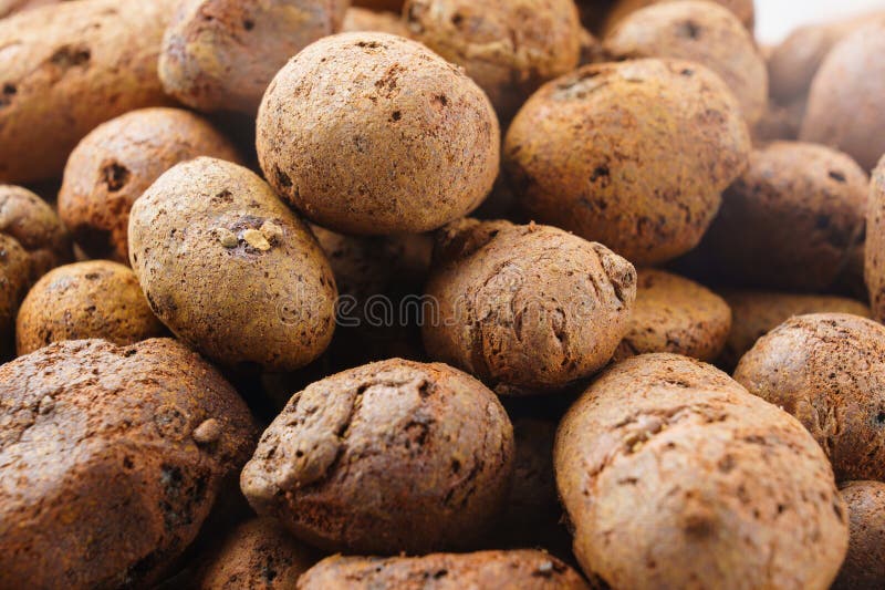 Expanded Clay. Small Lumps of Clay Used in Construction and for Growing ...