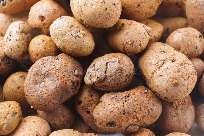 Expanded Clay. Small Lumps of Clay Used in Construction and for Growing ...