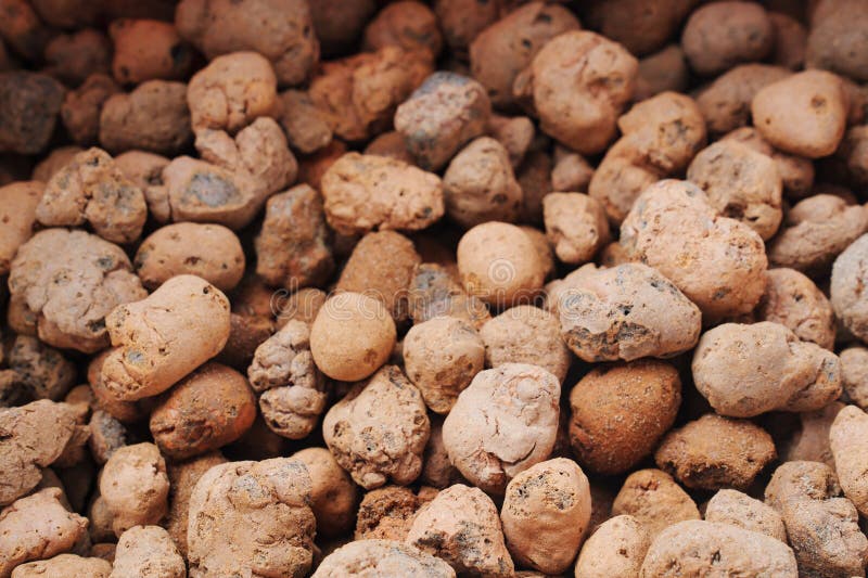 Expanded Clay. Small Lumps of Clay Used in Construction and for Growing ...