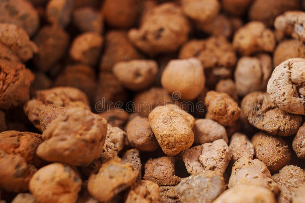 Expanded Clay. Small Lumps of Clay Used in Construction and for Growing ...