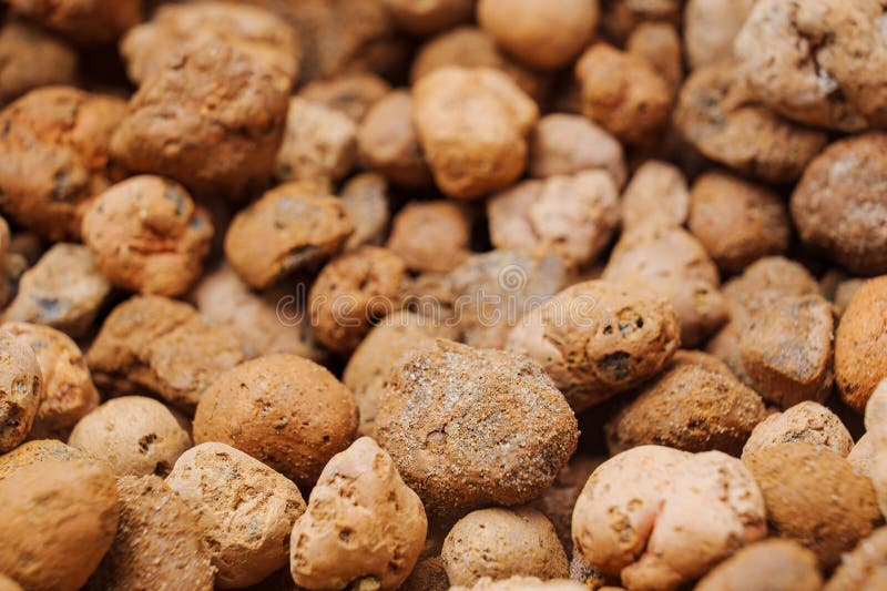 Expanded Clay. Small Lumps of Clay Used in Construction and for Growing ...