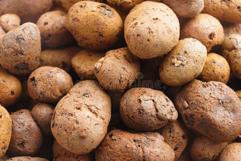 Expanded Clay. Small Lumps of Clay Used in Construction and for Growing ...