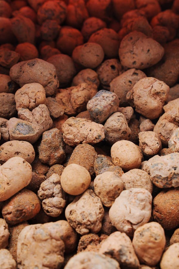 Expanded Clay. Small Lumps of Clay Used in Construction and for Growing ...