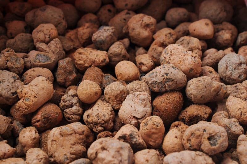 Expanded Clay. Small Lumps of Clay Used in Construction and for Growing ...