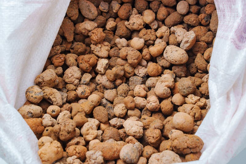 Expanded Clay. Small Lumps of Clay Used in Construction and for Growing ...