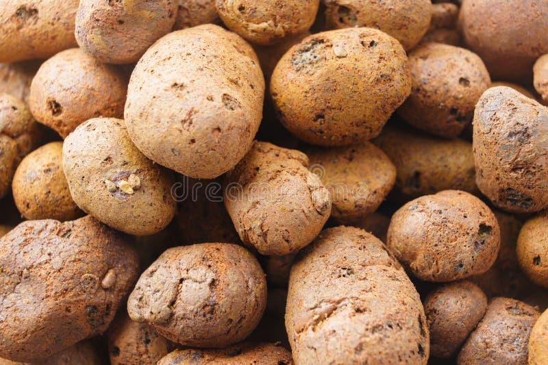 Expanded Clay. Small Lumps of Clay Used in Construction and for Growing ...