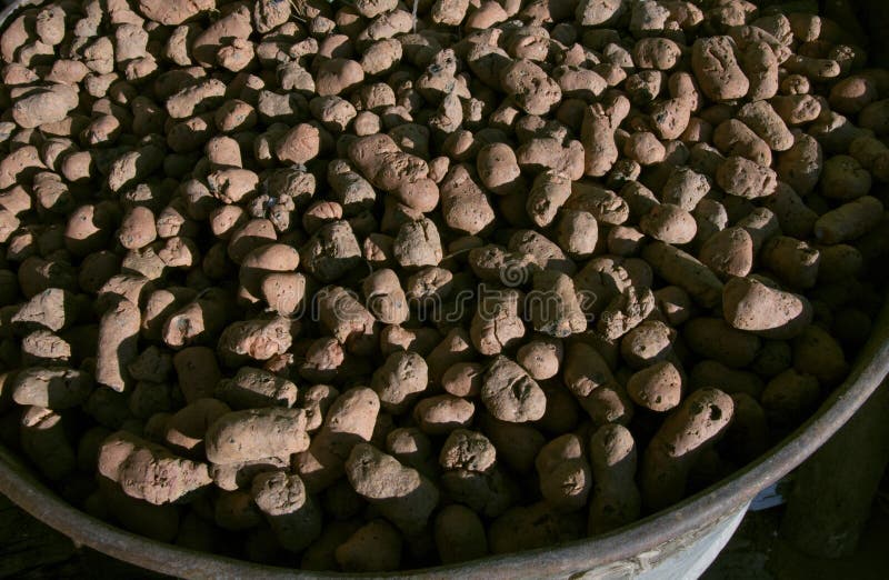 Expanded clay in the tank stock photo. Image of close - 192830178